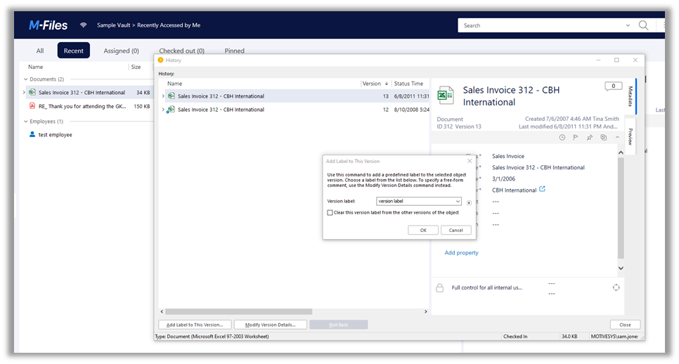 How to Change the Values in the “Version Label” Property Shown in M ...